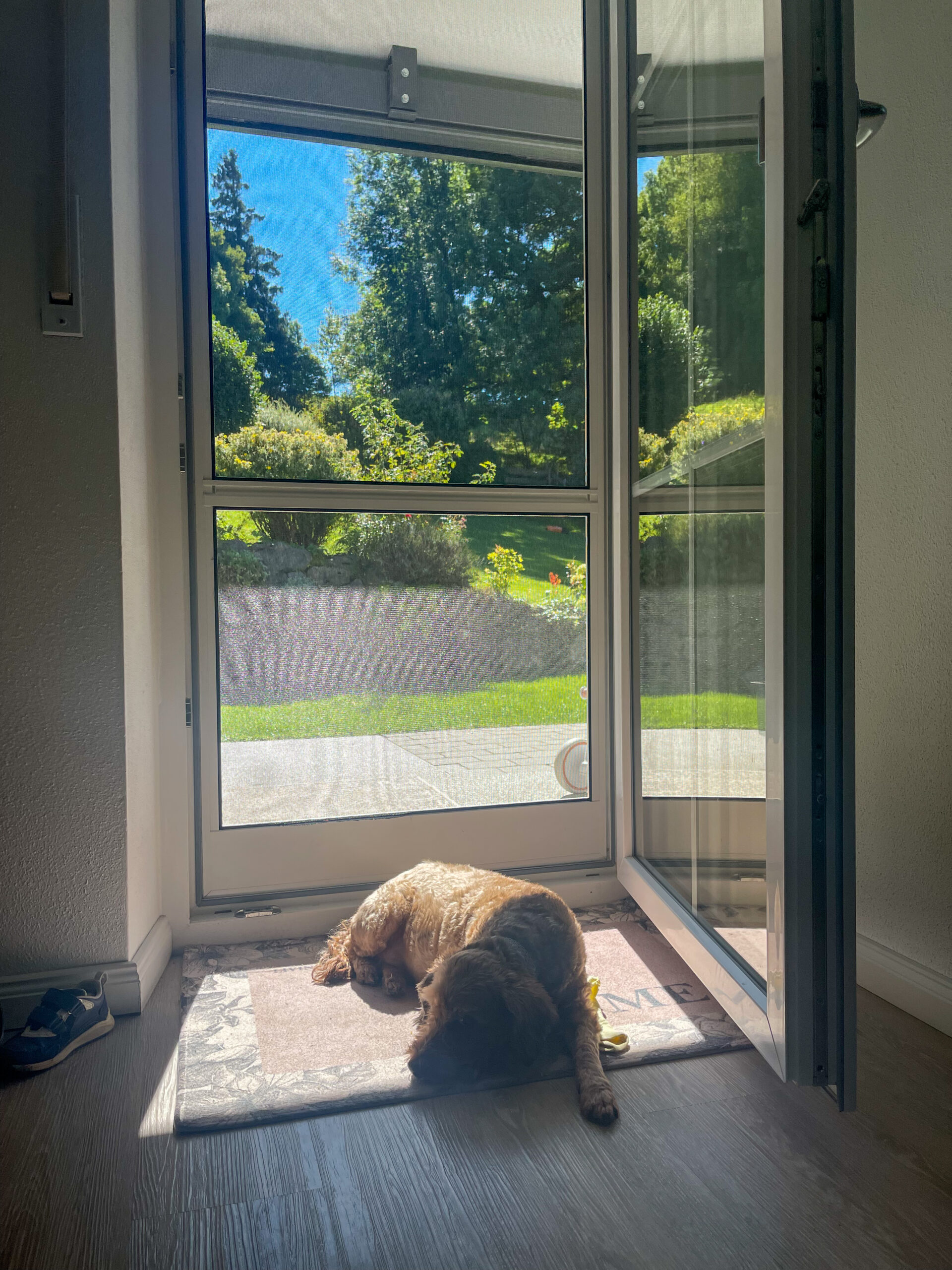 Key Considerations When Choosing a New Screen Door for Your Home ...